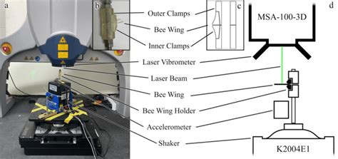 Base Excitation Setup For Modal Analysis Of Wing Samples A Image Of