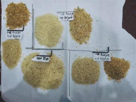 china rice color sorting machine ultimate rice sorting technology
