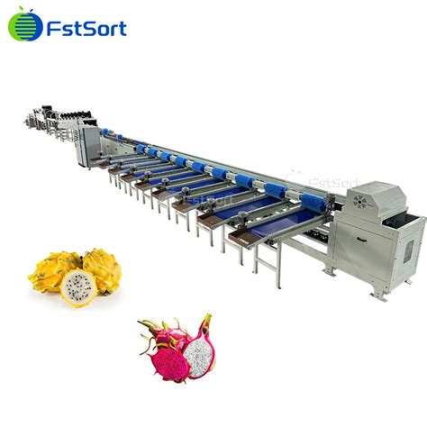 Dragon Fruit Grading Machine Fruit Sorter Grader Pitaya Cleaning Drying