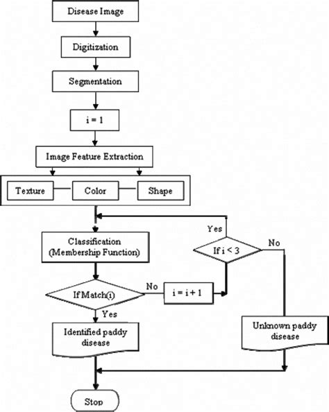 Modularized Architecture Of The Overall System Download Scientific