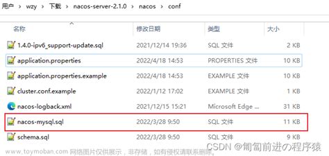Nacos Server Toy