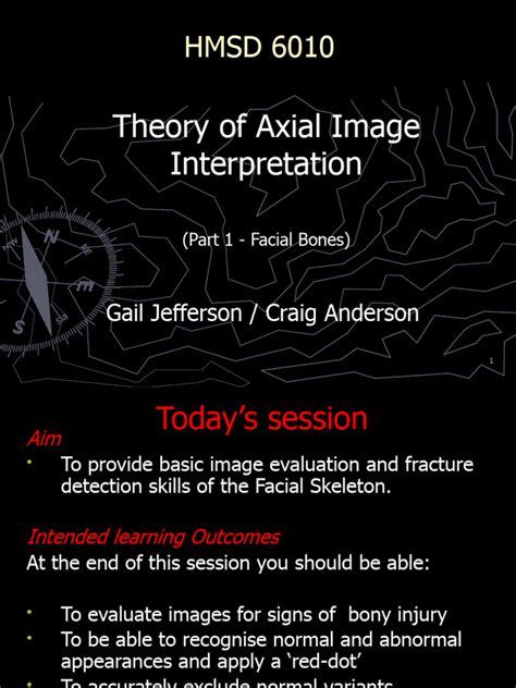6010 Theory Of Axial Part 1 Facial Bones Download Free Pdf Skull