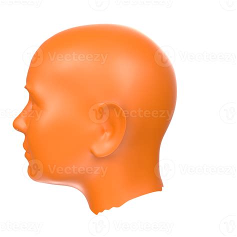 3d Rendering Of Human Bust 18066065 Png