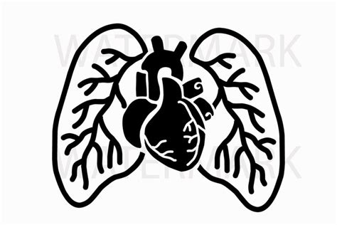 Human Lungs With Heart SVG PNG Hand Drawing
