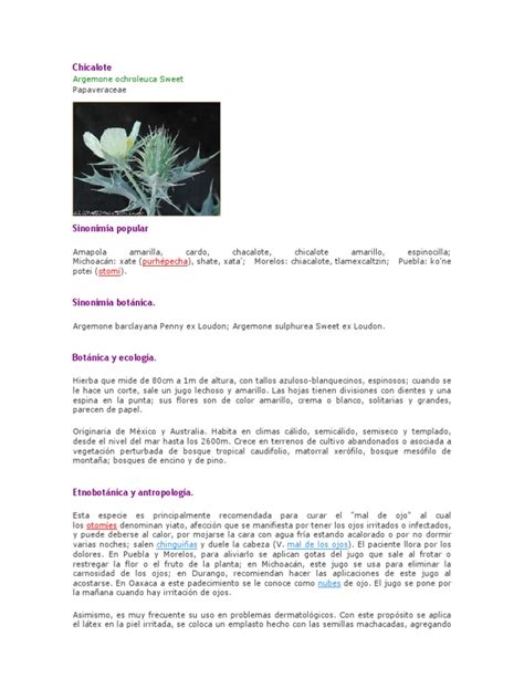 Chicalote Pdf Plantas Horticultura Y Jardinería