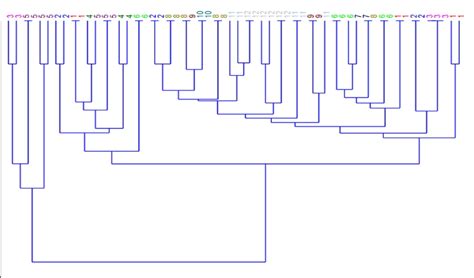 Upgma Dendrogram Of Epilobium Minutiflorum Populations Based On