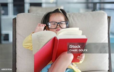 작은 아이 소녀 안경 도서관 교육 개념에서에서 책을 읽고 개념에 대한 스톡 사진 및 기타 이미지 개념 고등학교 공부 Istock