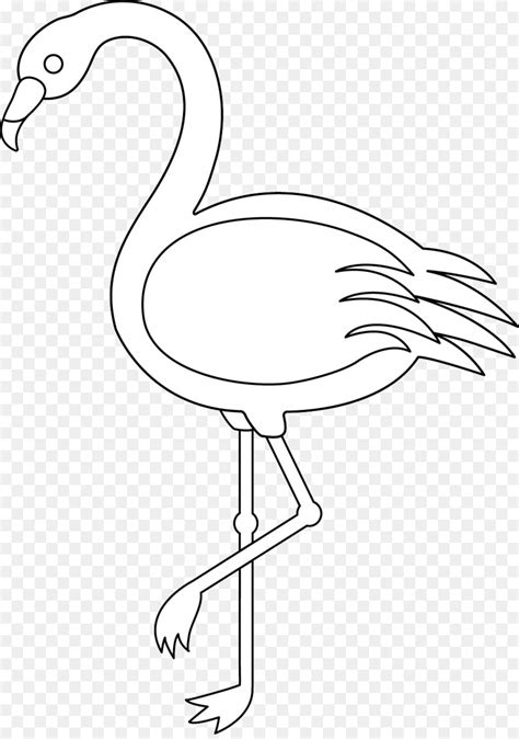 Imagem Flamingo Para Colorir Dibujos Faciles Lindos