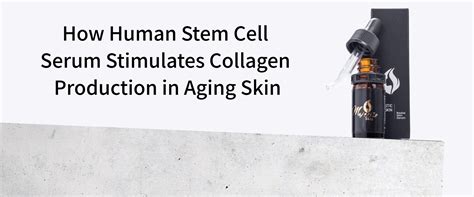 Human Stem Cell Serum For Collagen Production Japanese Anti Aging