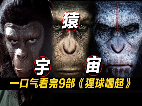 一口气看完9部《猩球崛起》！猩球宇宙经典科幻！无缝连接《猩球崛起4》 圣西罗 南看台 默认收藏夹 哔哩哔哩视频