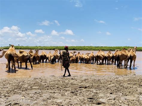 The Hydrometeorological Department Moewr