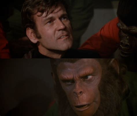 Caesar The Ape Quotes Caesar Planet Of The Apes Whatever It Takes