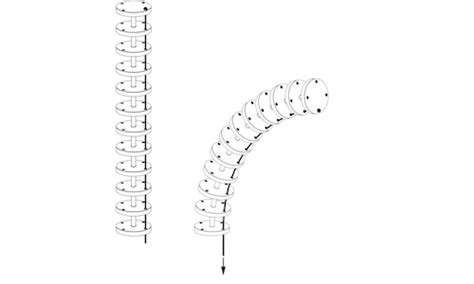 Tendon Driven Continuum Robots
