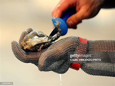 Ide Fish Photos And Premium High Res Pictures Getty Images