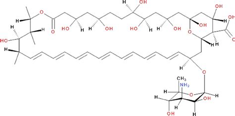 Structure Formula Of Amphotericin B Download Scientific Diagram