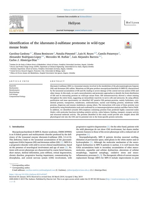 Pdf Identification Of The Iduronate 2 Sulfatase Proteome In Wild Type