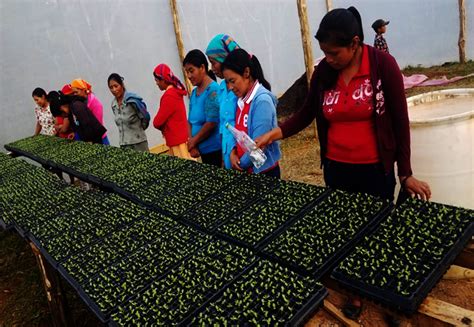 Stop Hunger With Indigenous Families In Honduras Globalgiving