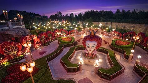 Wonderland Br