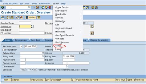 Sap Tech Enhance The Transaction Va01 To Set The Default Value To