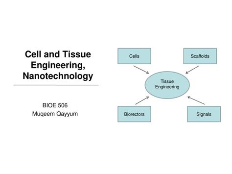 PPT Cell And Tissue Engineering Nanotechnology PowerPoint Presentation ID