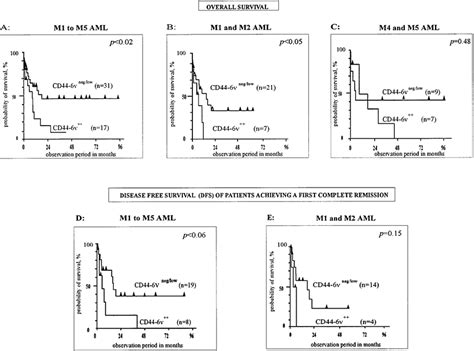 Correlation Of Cd44 6v Isoform Expression With Survival Of Aml