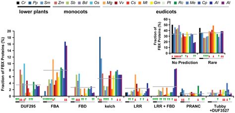 The Enrichment Depletion Of Various C Terminal Substrate Recognition Download Scientific