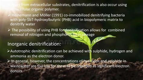 Denitrification Reaction Soil Microbiologypdf