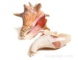 Conch Definition And Cooking Information RecipeTips