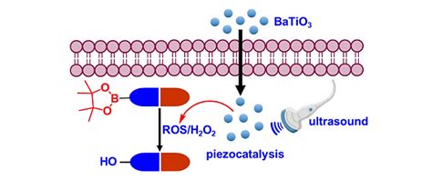 Publications The Morpholino Group