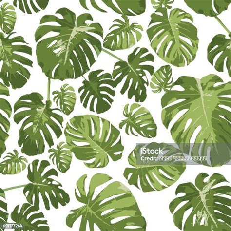 無縫背景與葉子向量圖形及更多俄羅斯圖片 俄羅斯 夏天 夏威夷群島 Istock