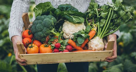 Les Bienfaits des légumes O PRIMEUR