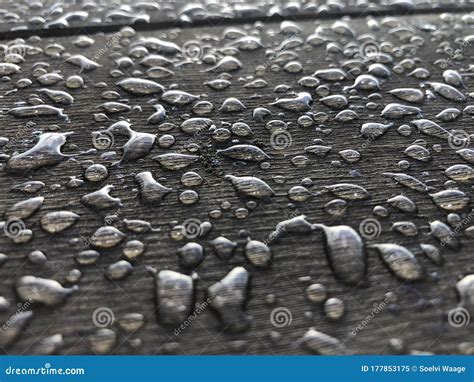 Raindops Rining Day Rain Stock Image Image Of Nice 177853175