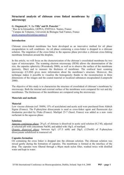 Structural Analysis Of Chitosan Cross Linked Membrane By Microscopy