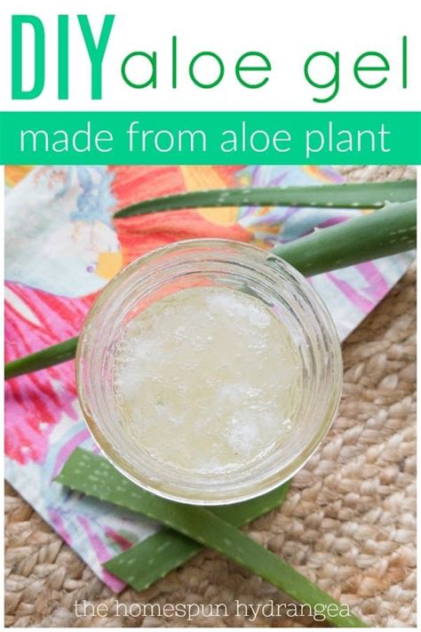 Aloe Vera Gel Recipe