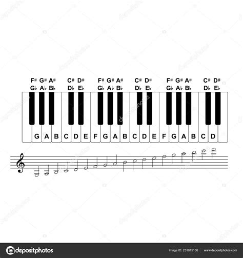 Piano Chords Piano Key Notes Chart White Background Vector Illustration