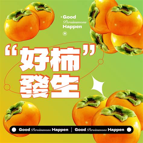 第8天：【版式】元素重复 好柿发生nayyyyy 站酷zcool