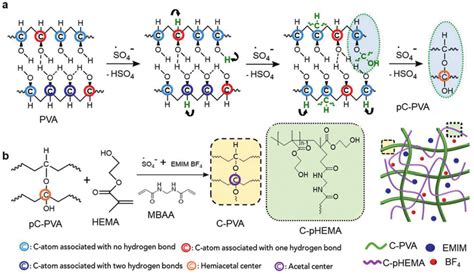 Schematic Of Dn Ionogel Electrolytes Synthesis C Cross Linked Pc Download Scientific