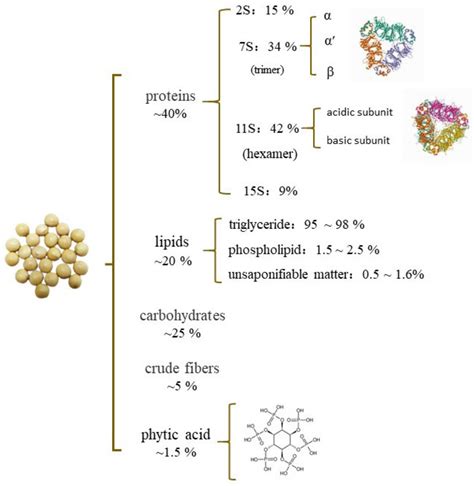 Soybean Protein Structure