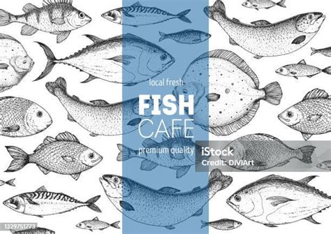 물고기 스케치 컬렉션입니다 패키지 또는 메뉴 디자인에 적합한 손으로 그린 벡터 일러스트레이션 해산물 생선 무늬 전단지 브로셔 소책자 디자인 템플릿 흑백 새겨진 스타일