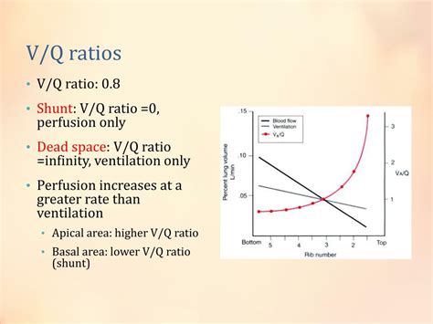 Ppt Respiratory Physiology During Anesthesia Powerpoint Presentation