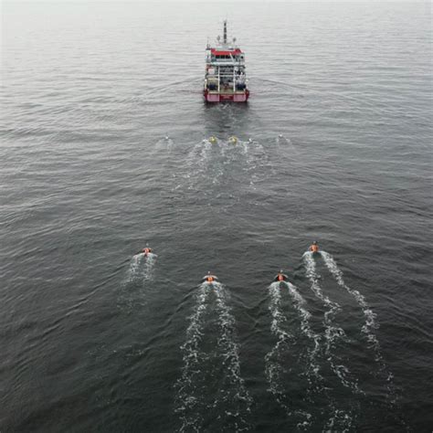 Detailed Characterisation With Low Energy Seismic Reflection Surveys