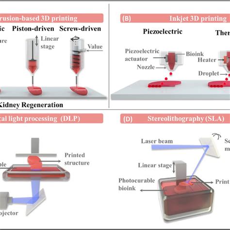 3d Bioprinting Technologies And Comparisons A Extrsusion Based Download Scientific Diagram