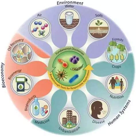 三天实现独立分析宏基因组数据 有参、无参和分箱等 Csdn博客