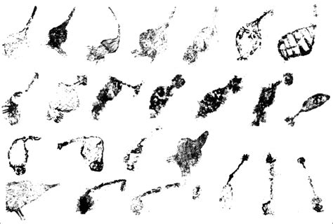 Traced Examples Of The Tassel Headdress Type Showing Consistency And