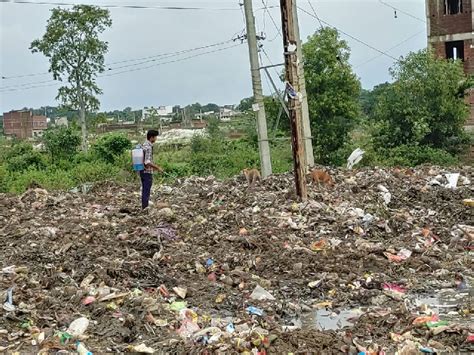 Golden Bio Decomposer For Smell Removal Composting Packaging Type