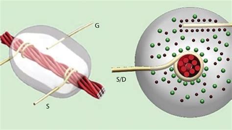 Using Lcp Based Flexible Substrates For Medical Smart Sensor