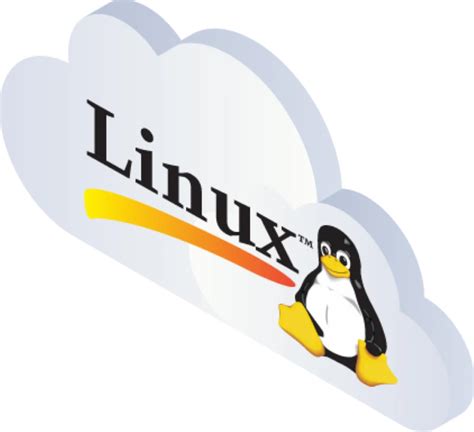 Linux Server Management Services At ₹ 8000 Month In Jaipur Id