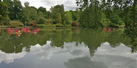 Photo Friday 2019 08 02 Simon