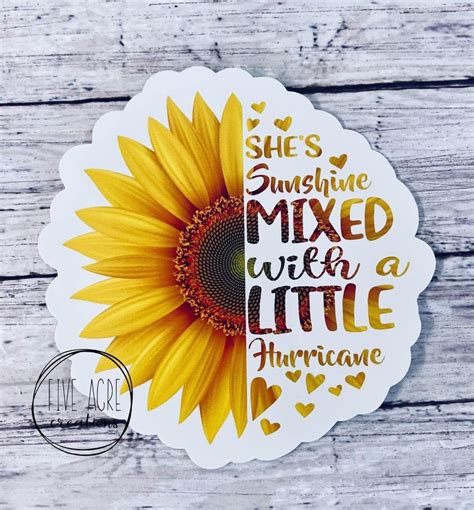 Funny Waterproof Weatherproof Vinyl Sticker She Is Sunshine Etsy