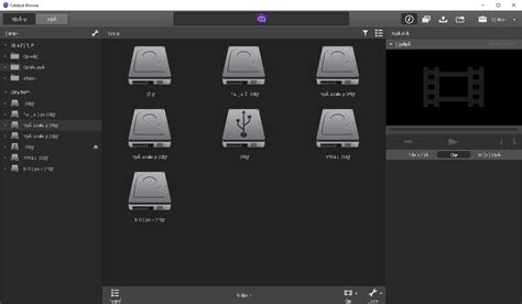 Languagedisplay Issue With Catalyst Browse Rsony